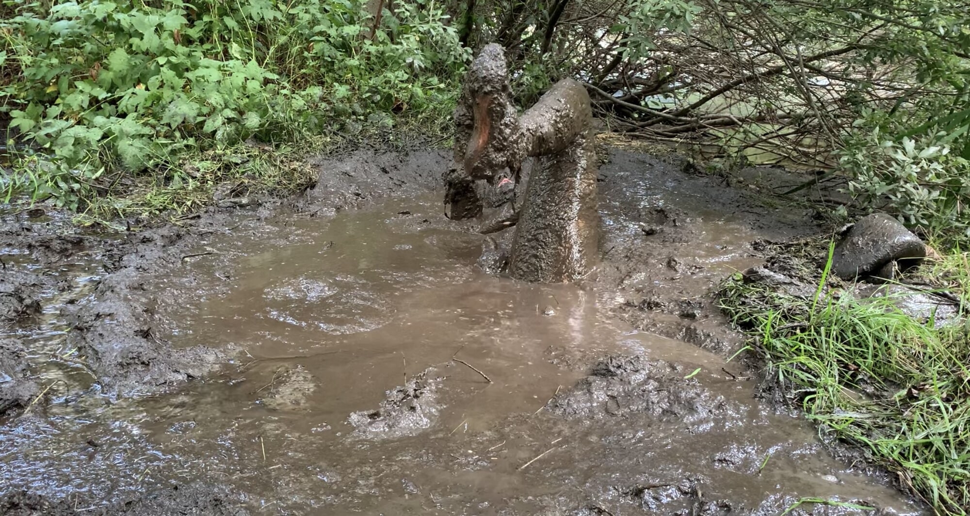 Mud Mud Mud 38 Pics Xhamster 8286
