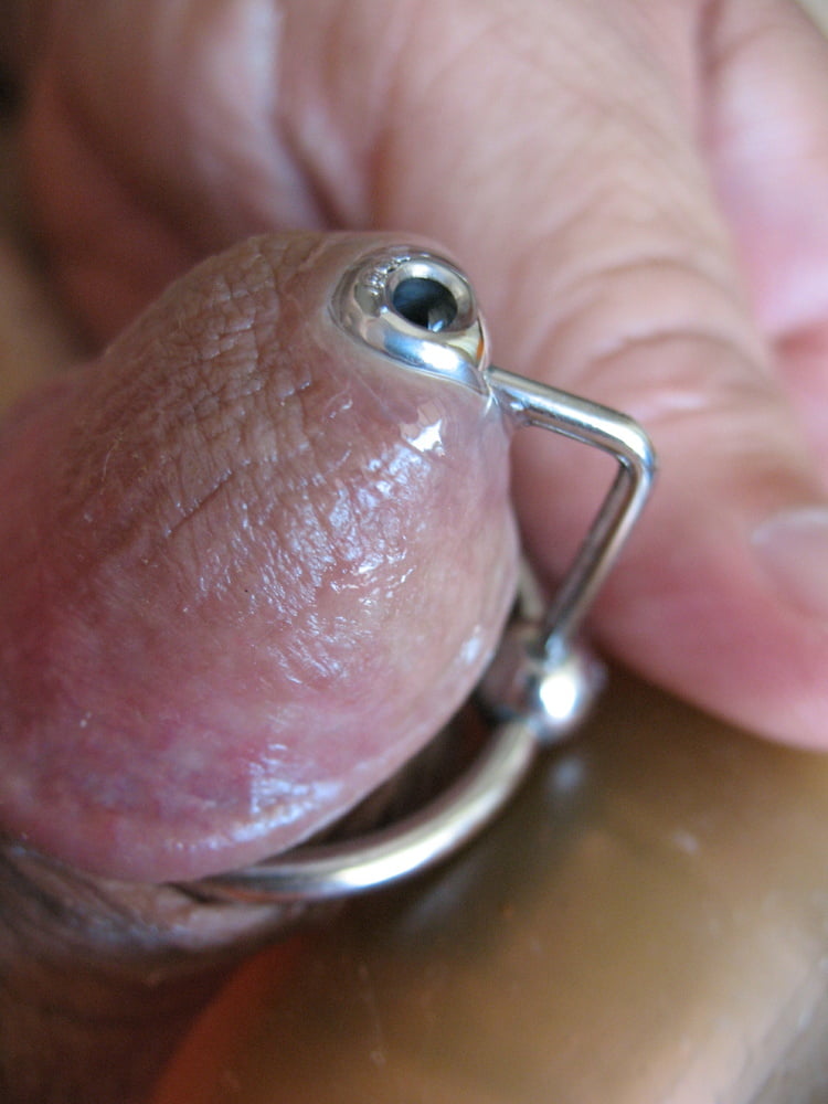 More Steel In My Cock With Glans Ring 177 Pics Xhamster